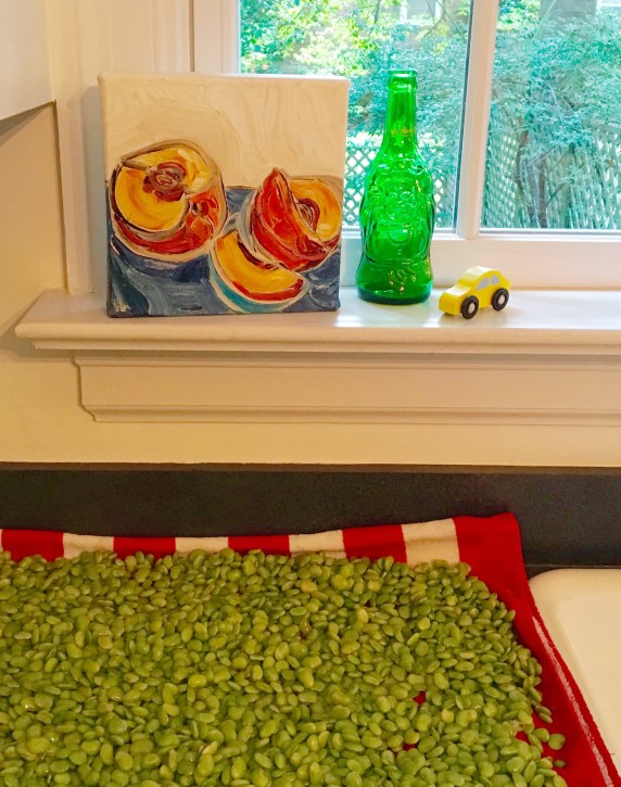 Freezing Fresh Butter Beans | PegHardee.com Insight into Southern ...